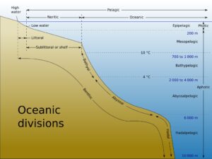 The layers of the ocean - Cosmundus
