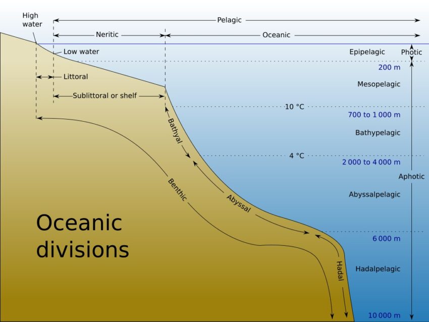The layers of the ocean - Cosmundus